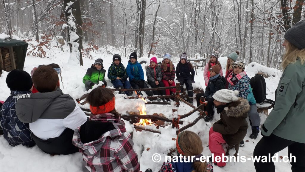 Unser Leberberger Wald als Schulzimmer 1 – Draussen unterrichten